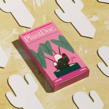 PlantDoc, your houseplant watering assistant