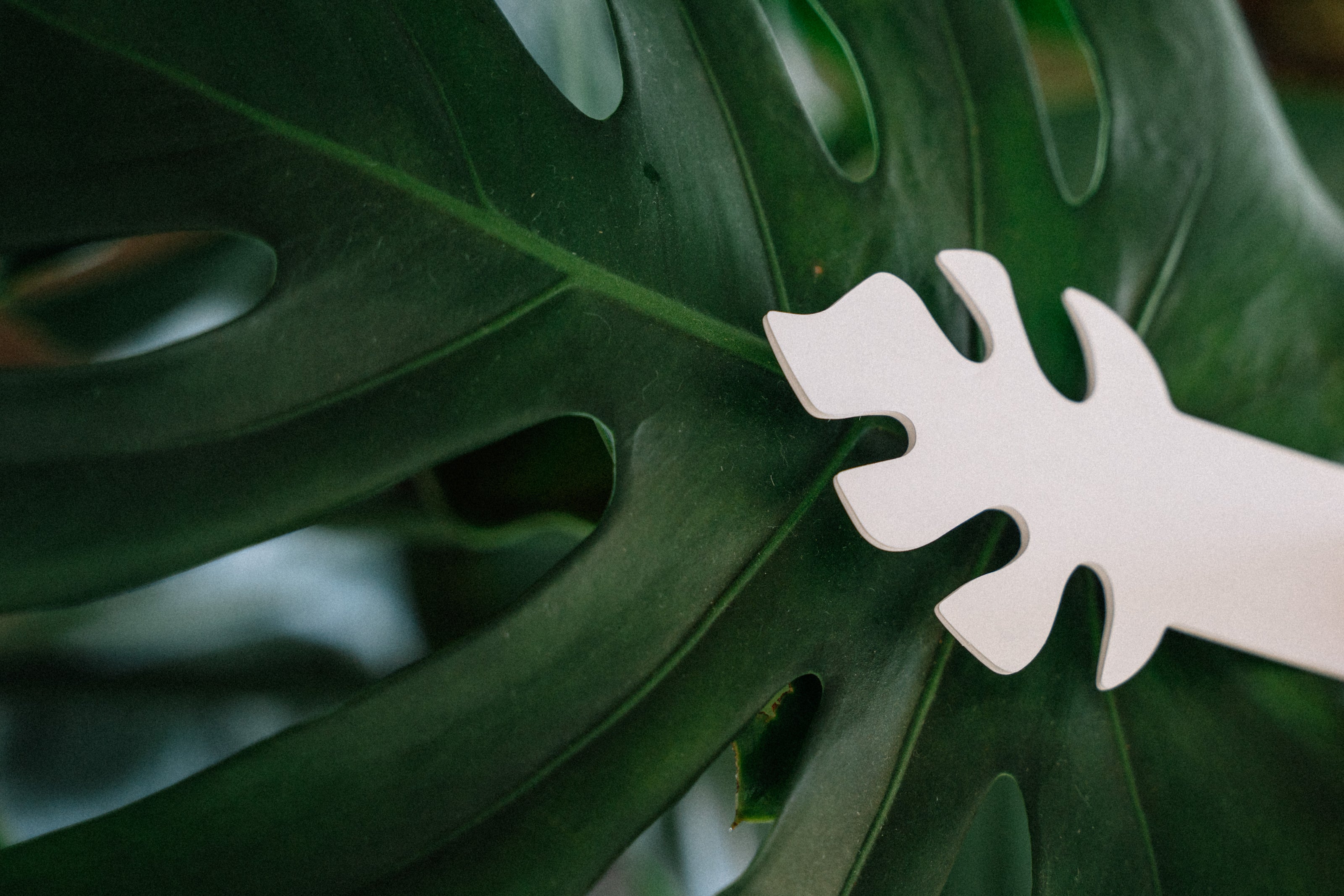 About – PlantDoc