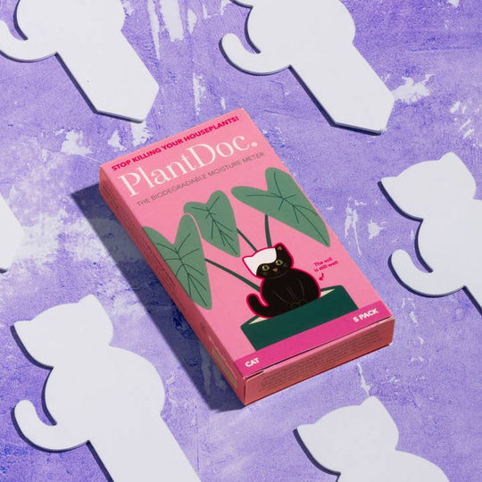 PlantDoc, your houseplant watering assistant