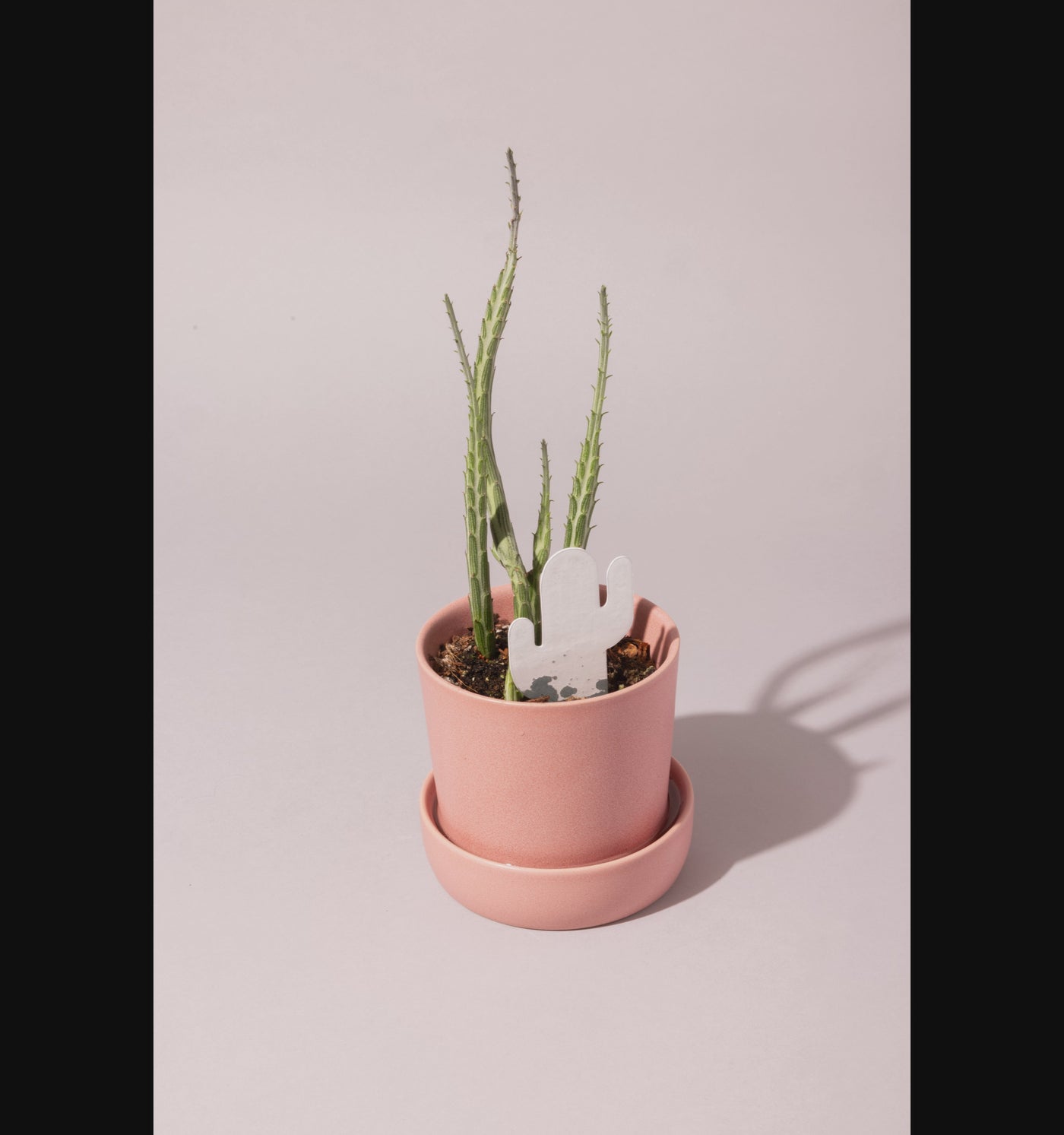 Color Change Moisture Indicator Eco-Friendly Houseplant Gift PlantDoc ...